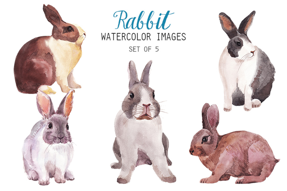 Watercolor Rabbit Clipart, an Animal Illustration by YesFoxy
