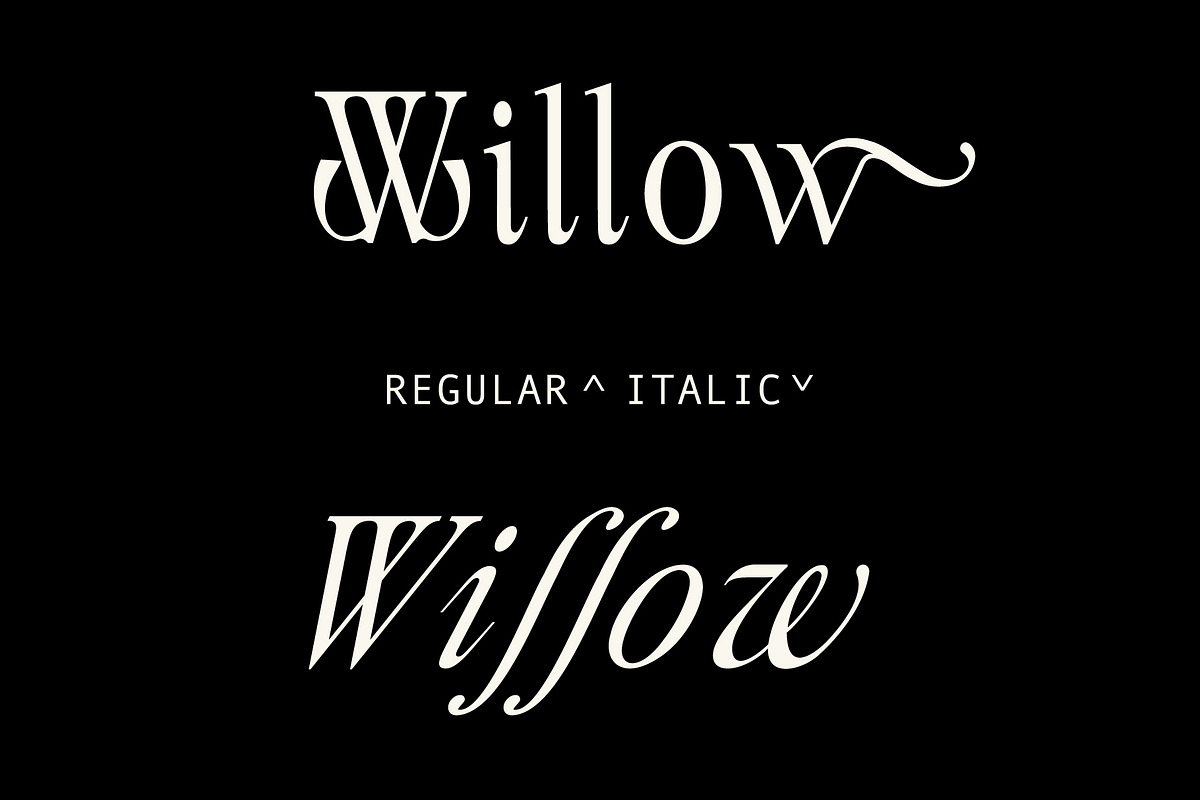 Palace Serif Typeface, a Serif Font by Tropical Type