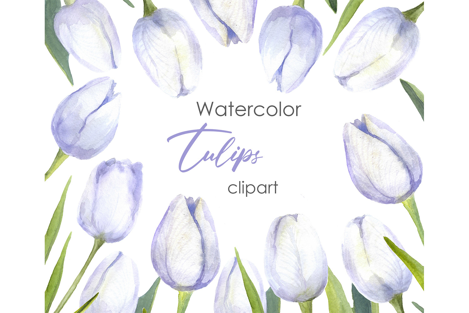 Watercolor tulip clipart Floral png, an Illustration by KomtsyanTatyanaArt
