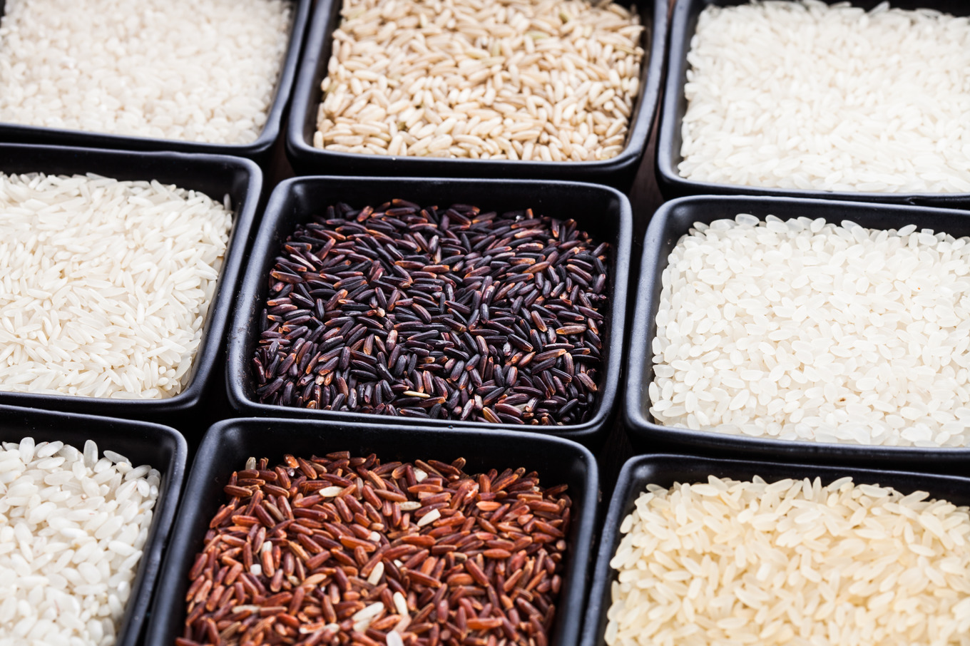 Various types of rice featuring japanese, arborio, and asian, a Food ...