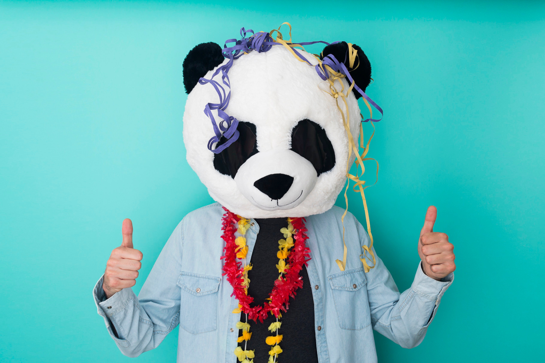 Optimistic man in panda mask with thumbs up against blue background ...