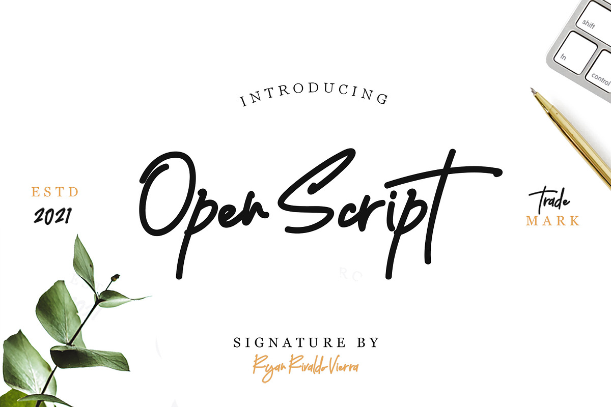 Openscript | Creative Market