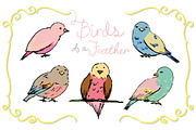 Birds of a Feather | Animal Illustrations ~ Creative Market