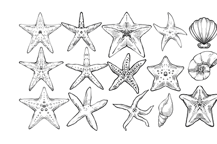 Vector sea creatures, an Object Graphic by CARROTDESIGN