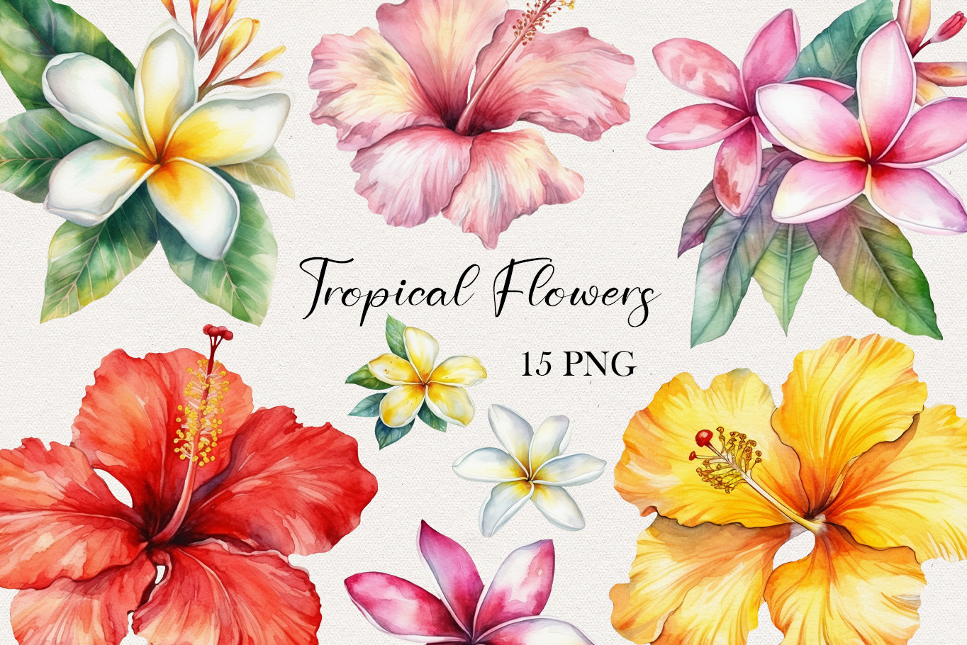 Tropical Flowers Clipart. AI, a Decorative Illustration by BonbonnyDesigns