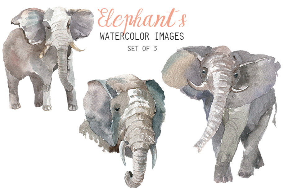 Watercolor Elephants Clipart, an Animal Illustration by YesFoxy