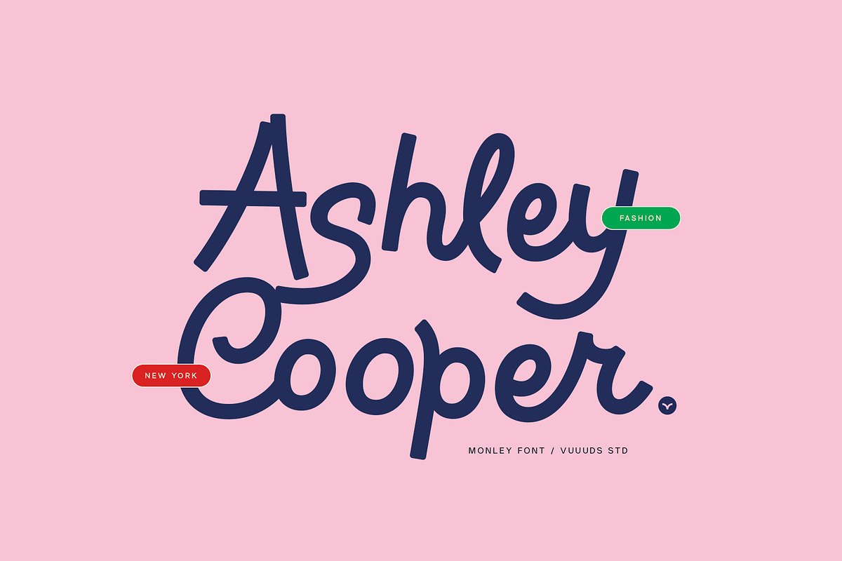 Monley, a Script Font by vuuuds