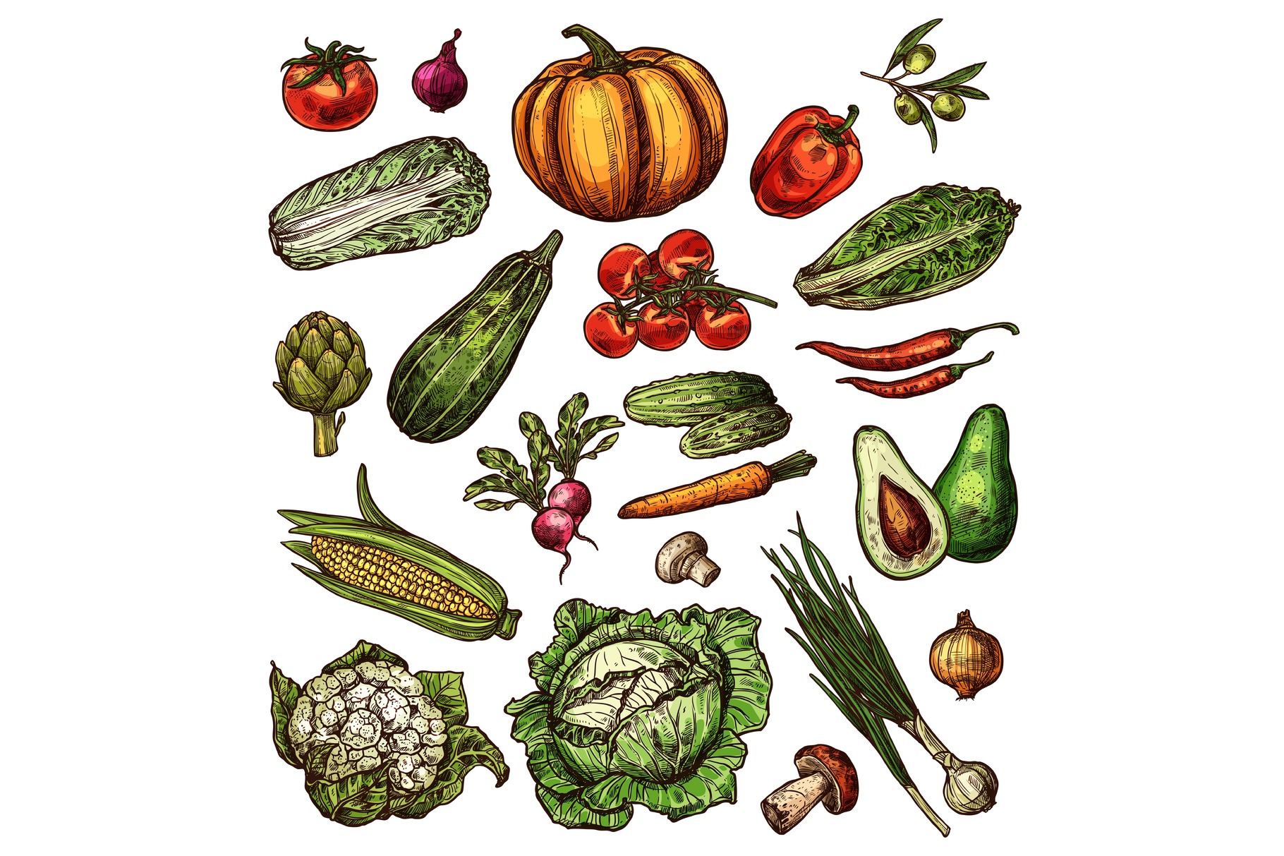 Vegetables sketch vector icons, a Food Illustration by Vector Tradition