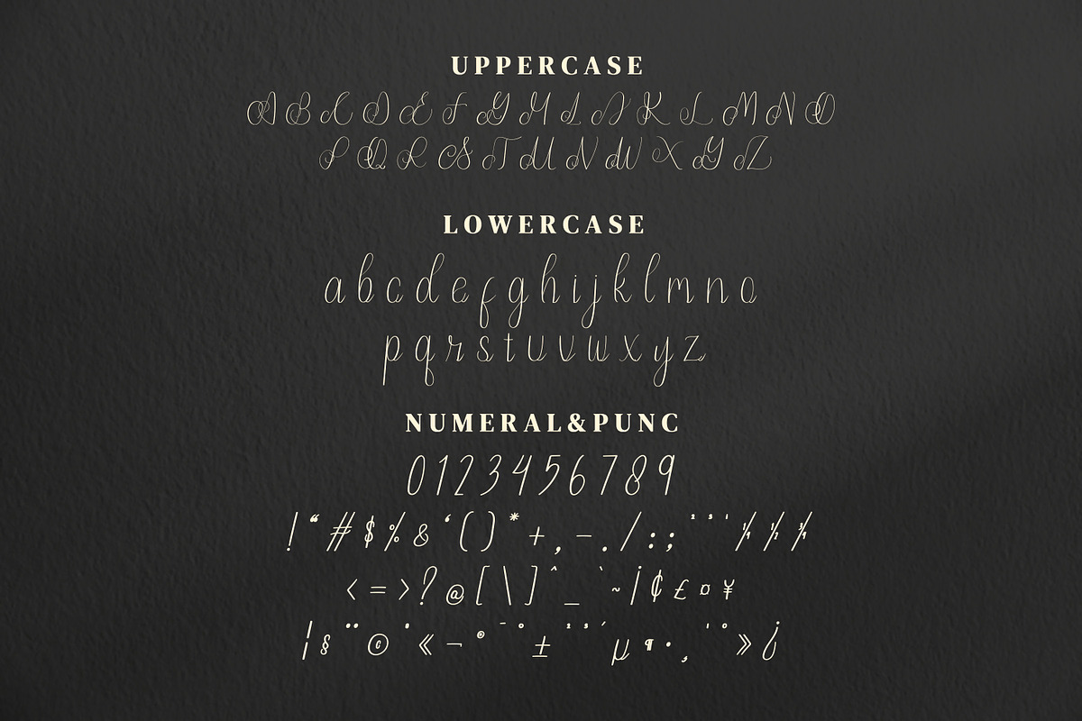 Olleta Script Fonts, a Script Font by mahstudios | Creative Market