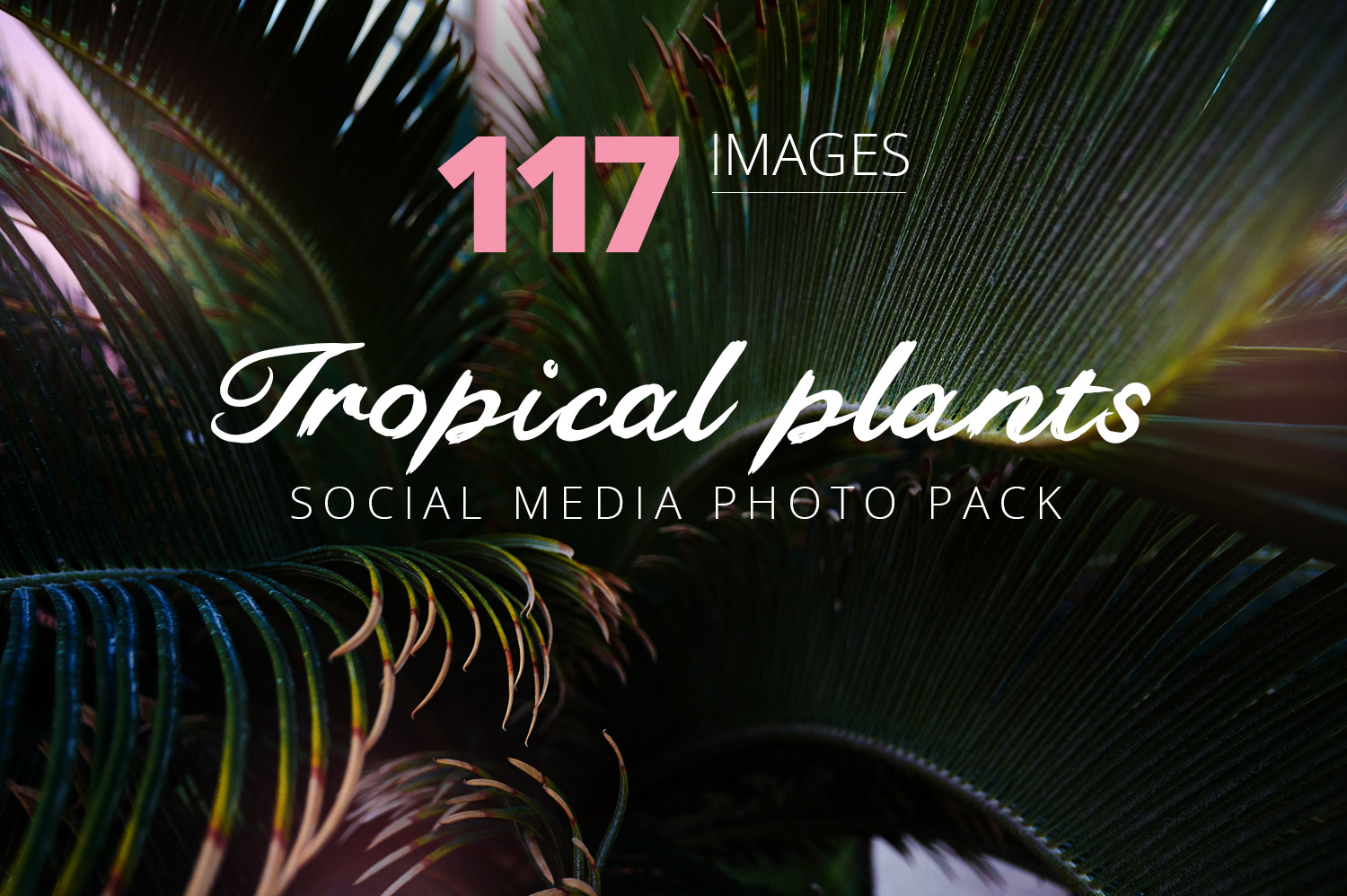 Tropical stock photo bundle | Templates & Themes ~ Creative Market