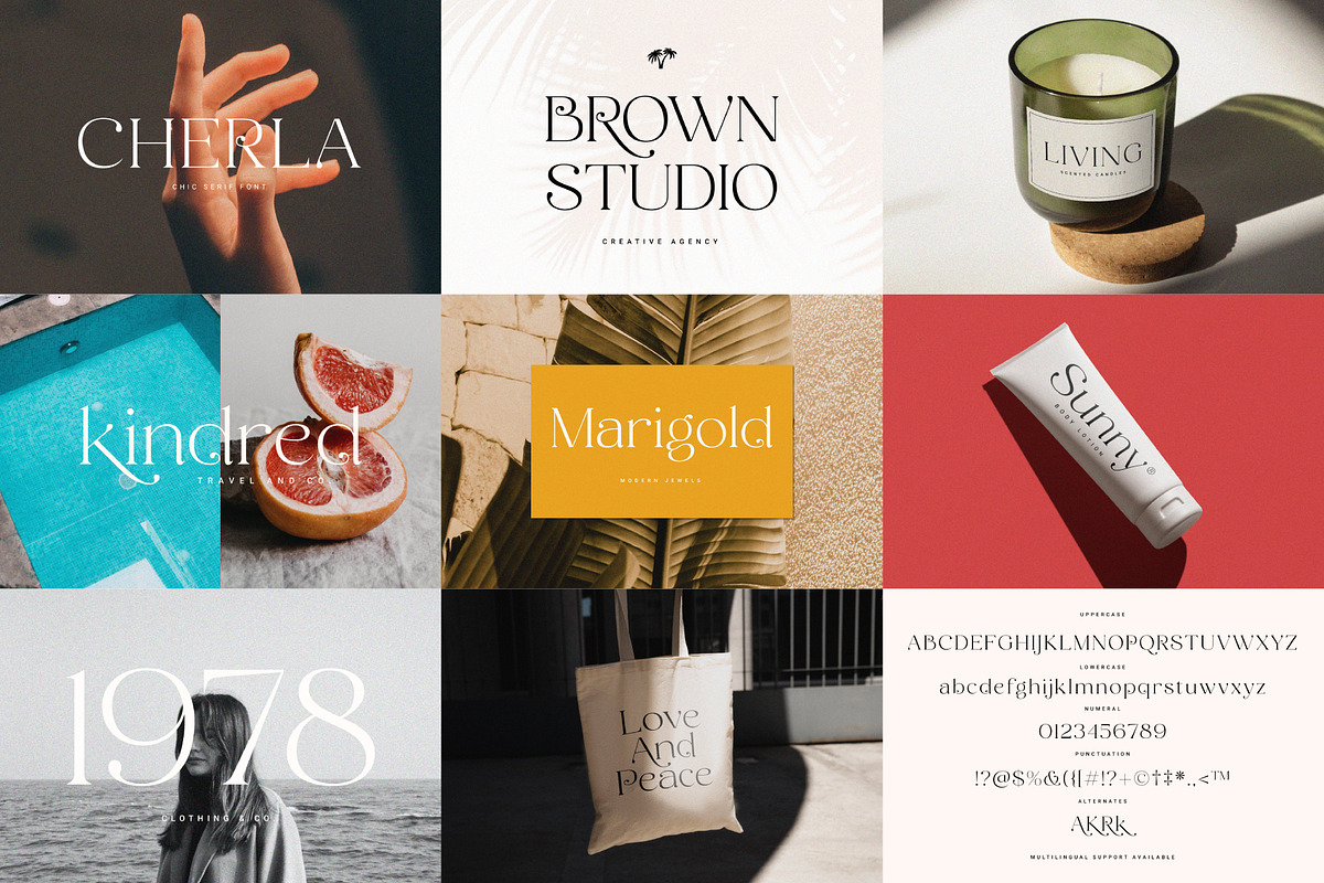 The Modern & Unique Font Bundle #02, a Serif Font by Prioritype Co