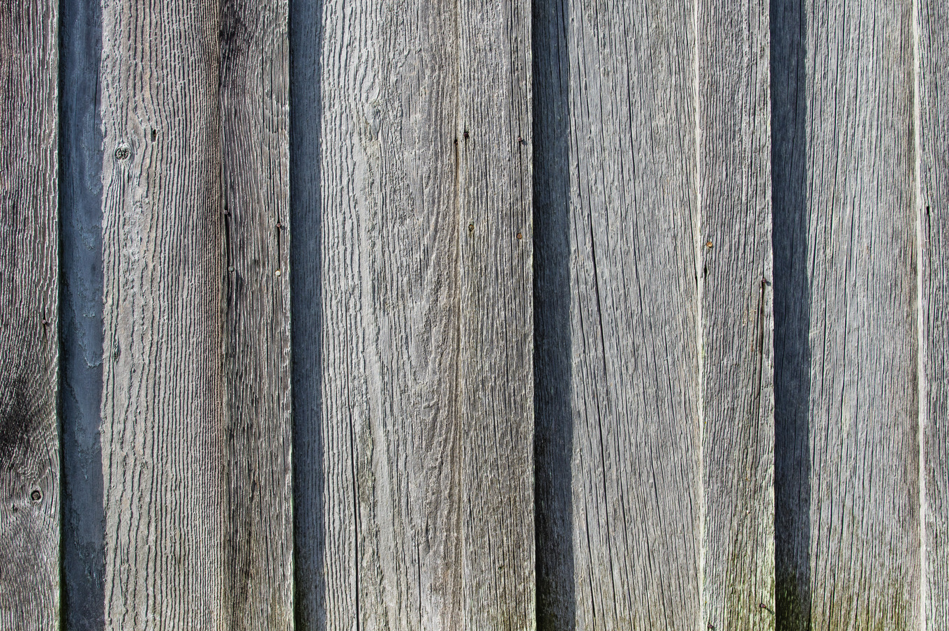 Gray wooden textured siding background featuring texture, abstract, and ...