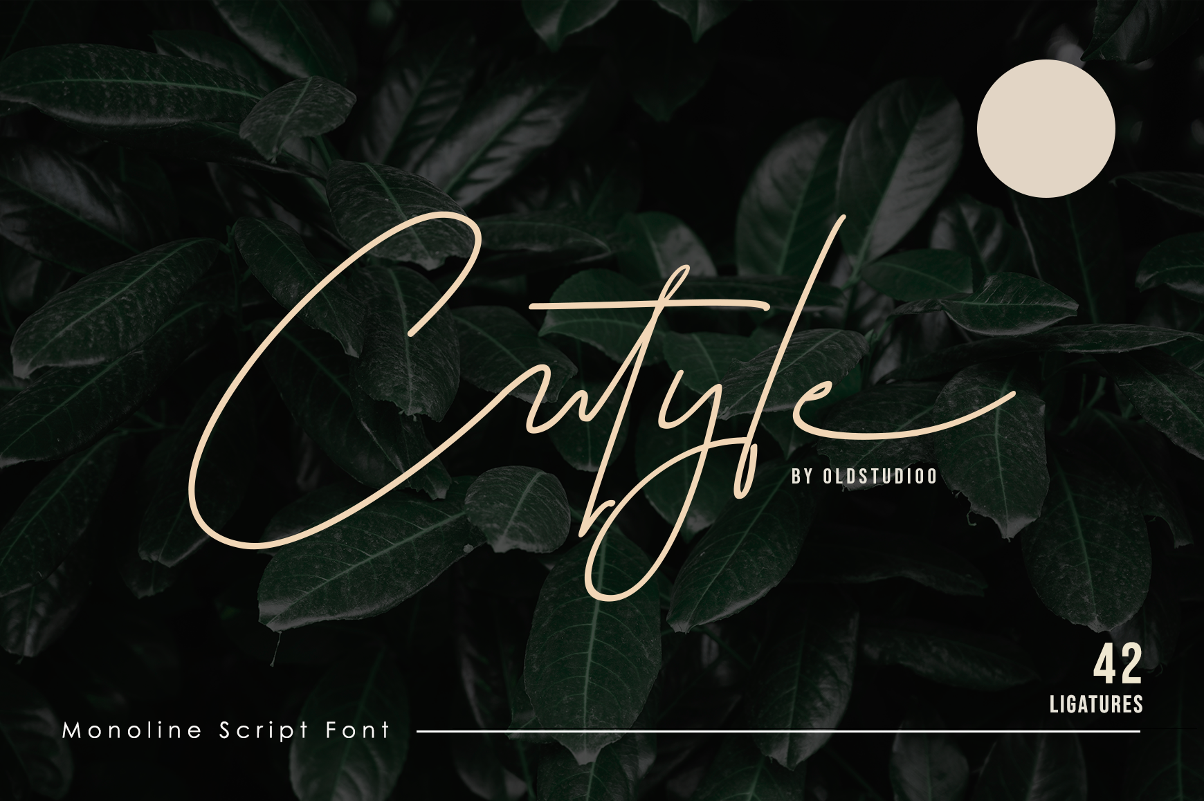 Cutyle Monoline Script, a Script Font by Analogous