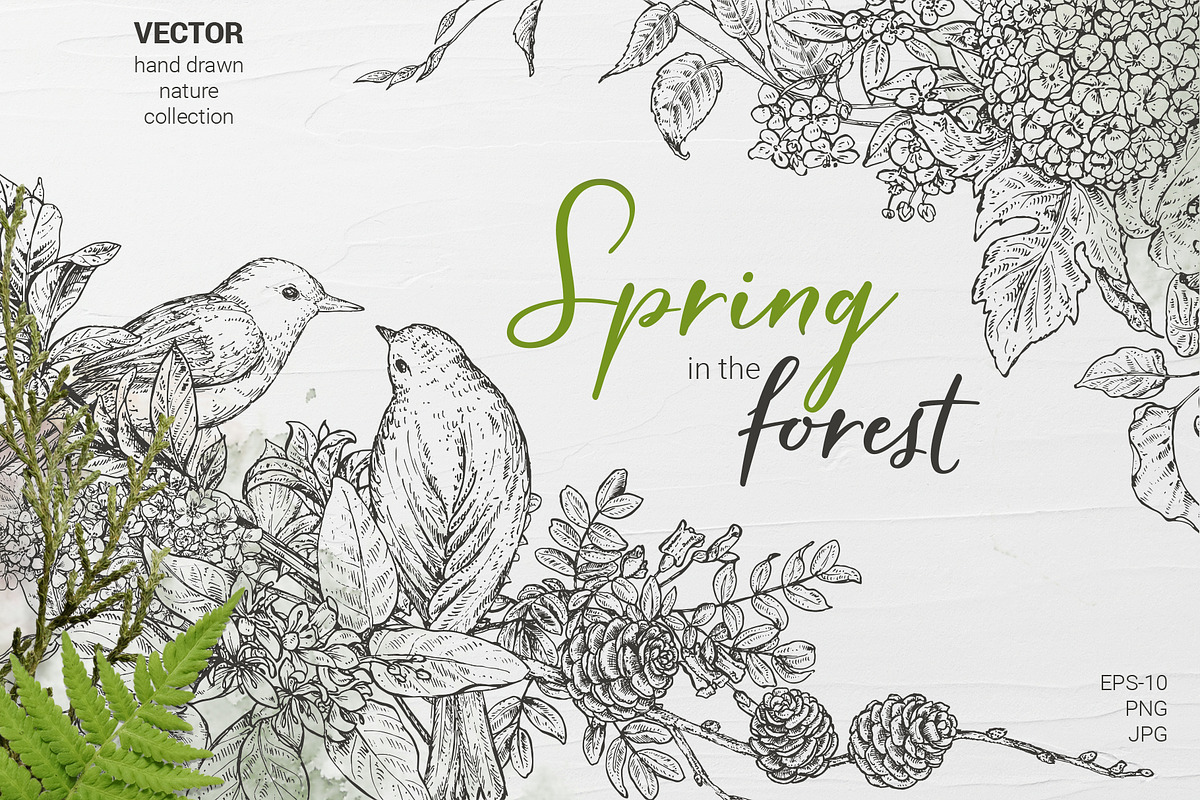 Spring in the forest vector set, a Decorative Illustration by Molly art