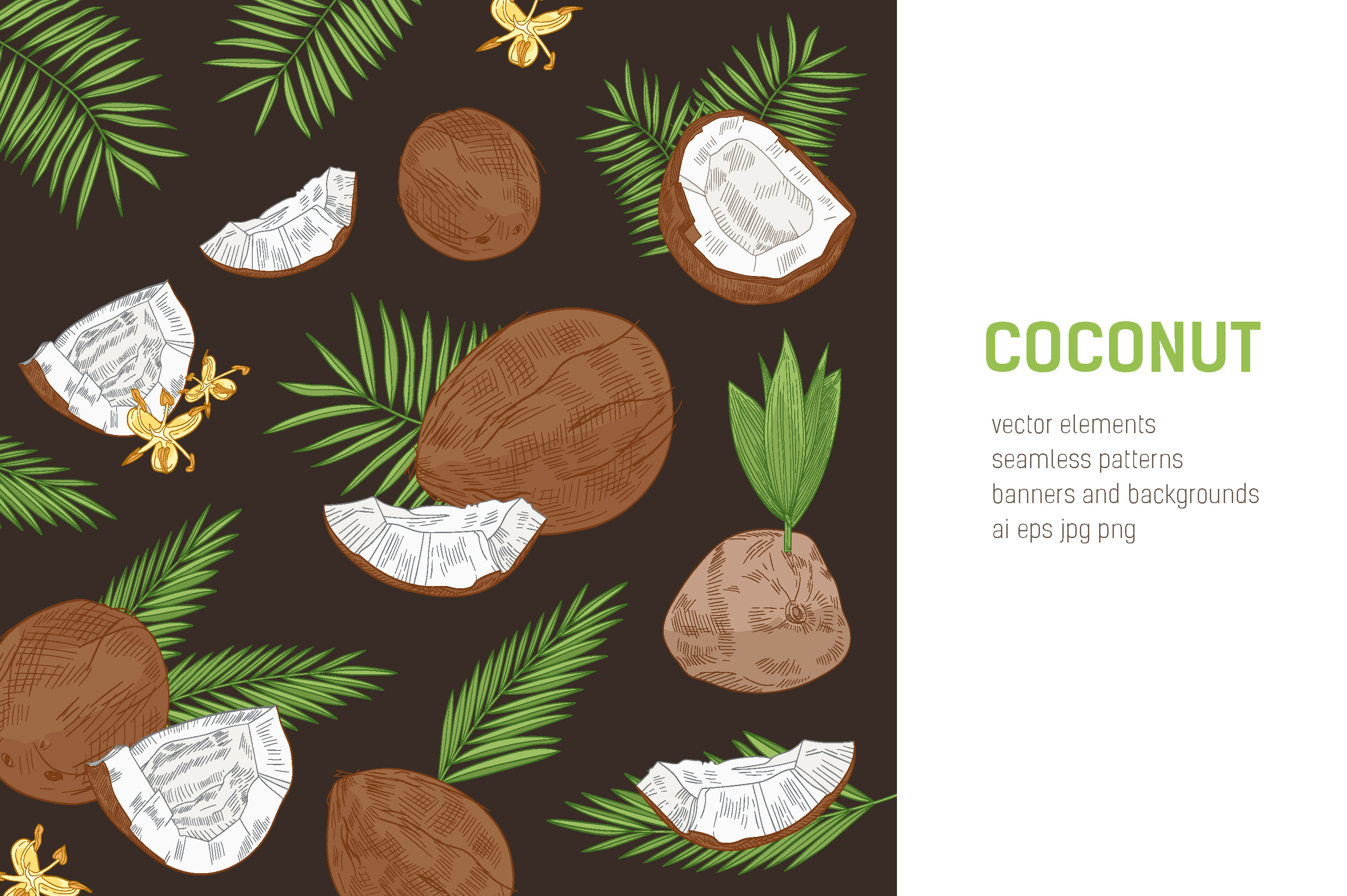 Coconut bundle, a Decorative Illustration by Good Studio