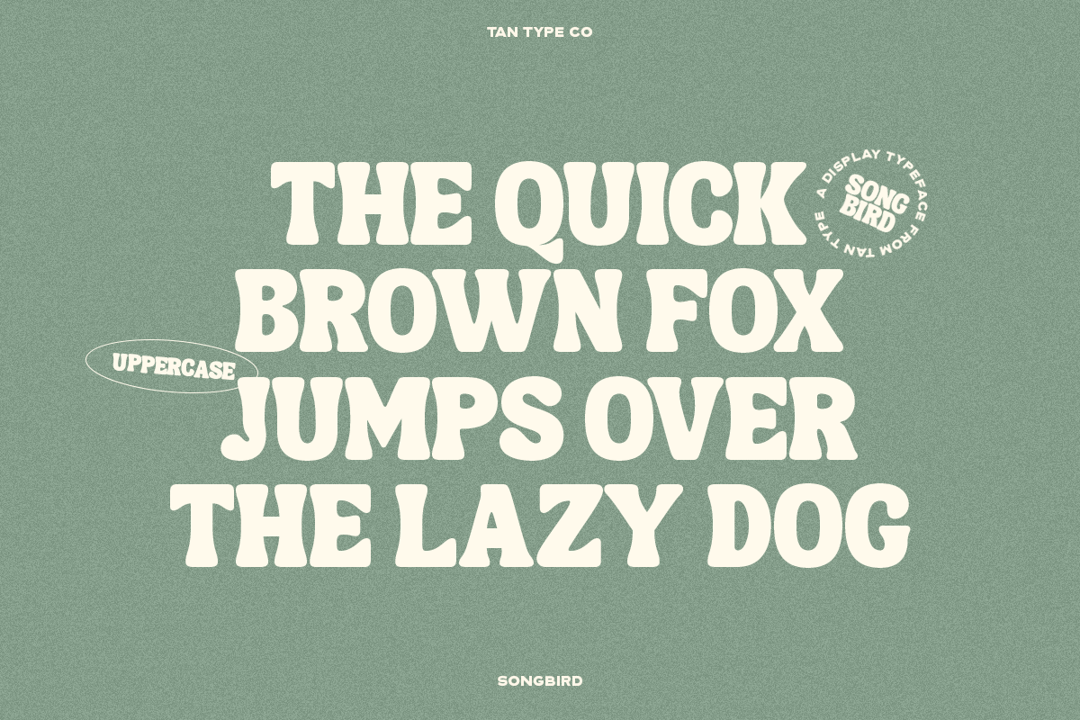 TAN - SONGBIRD, a Font by TanType