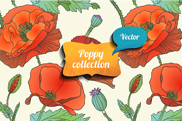 Poppy vector collection, an Object Graphic by Crazy nook | Creative Market