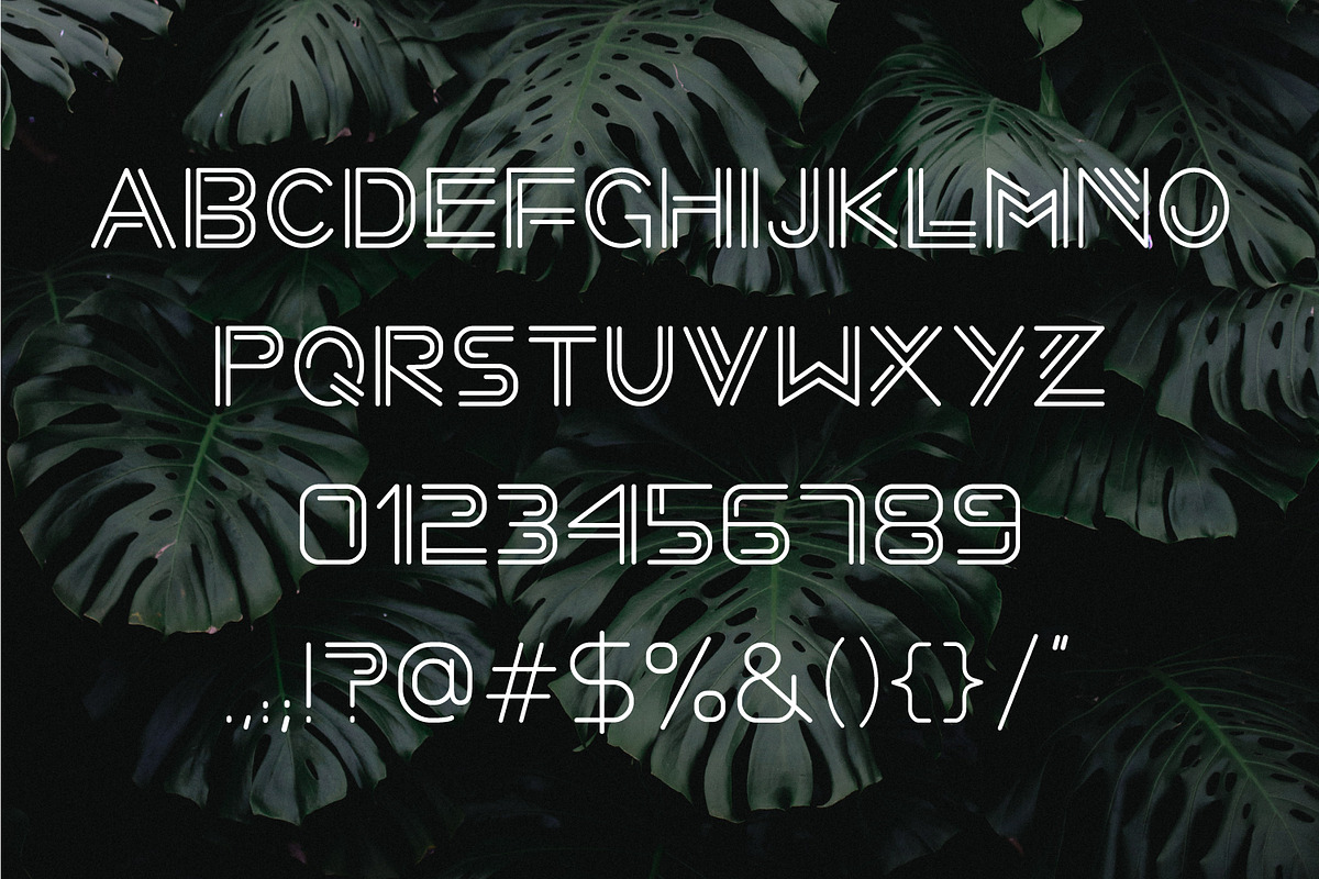 Sense Font, a Sans Serif Font by Olha Kostiuk