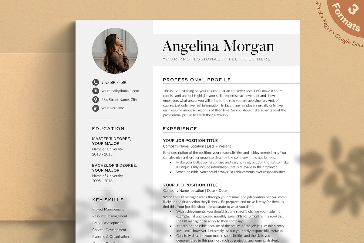 Resume/CV Template - The Angel