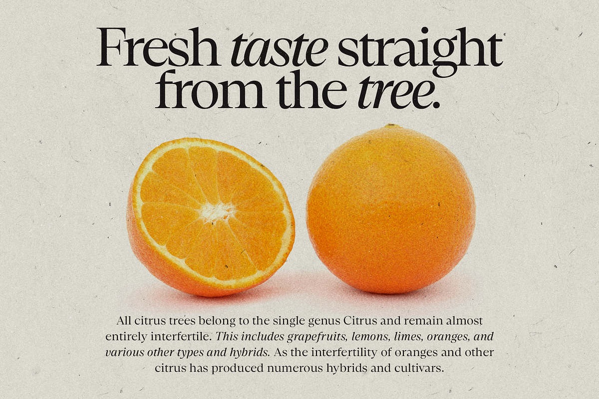 Emilio Font - Free & Premium Download