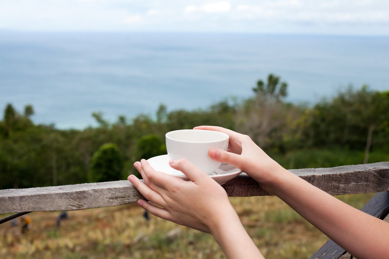 A cup in hands and beautiful seaview, a Food & Drink Photo by Wedphoto