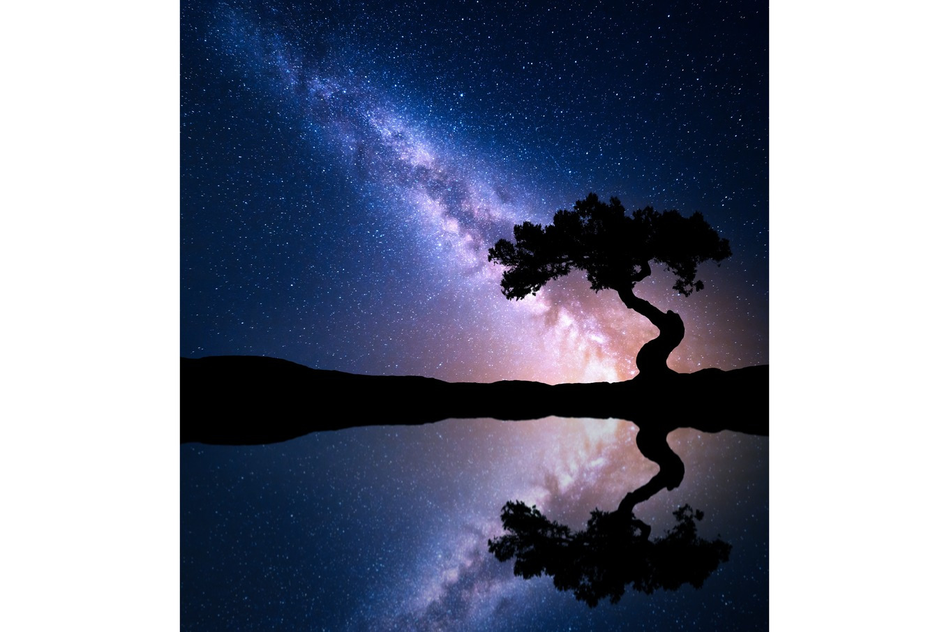 Night scene with Milky Way and old tree, a Nature Photo by den-belitsky ...