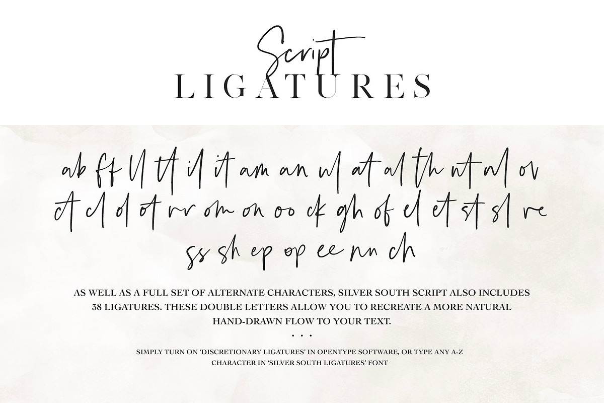 Silver South Font Duo (New Update), a Script Font by Sam Parrett