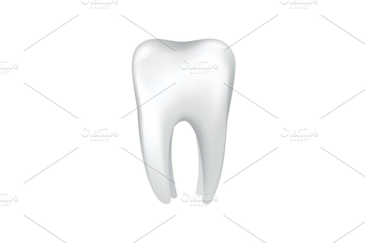 White shining human tooth, a Healthcare Illustration by Things for ...