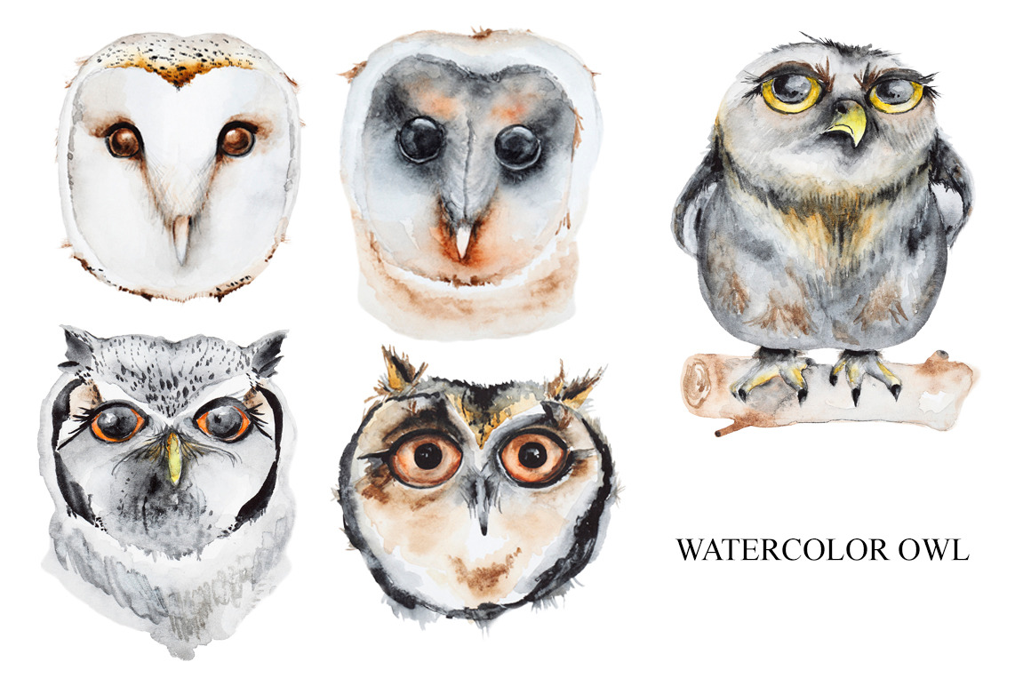 Set of watercolor owls, a Wallpaper Graphic by IvanFet