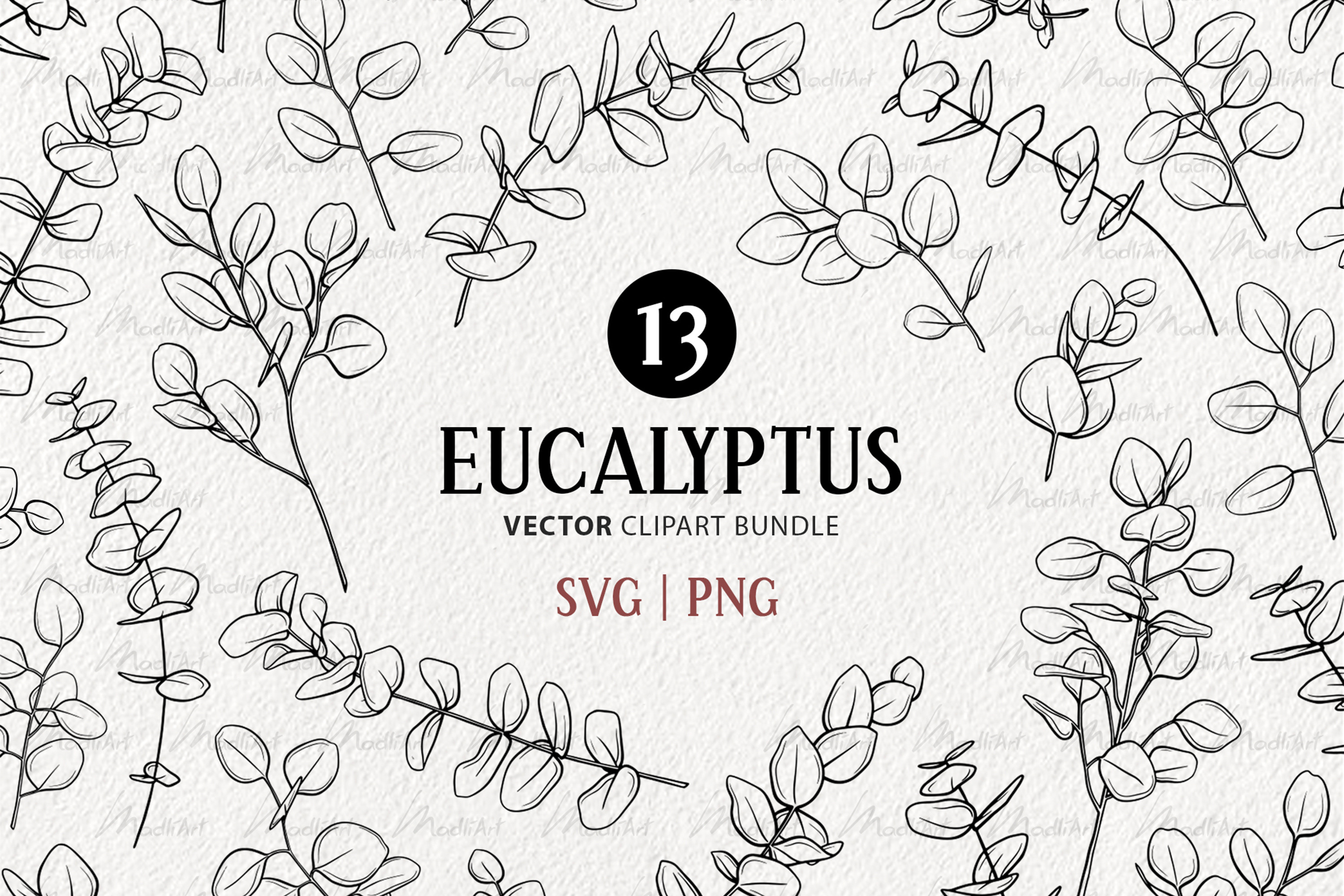 Eucalyptus Vector Line Art Set, an Illustration by MadliArt