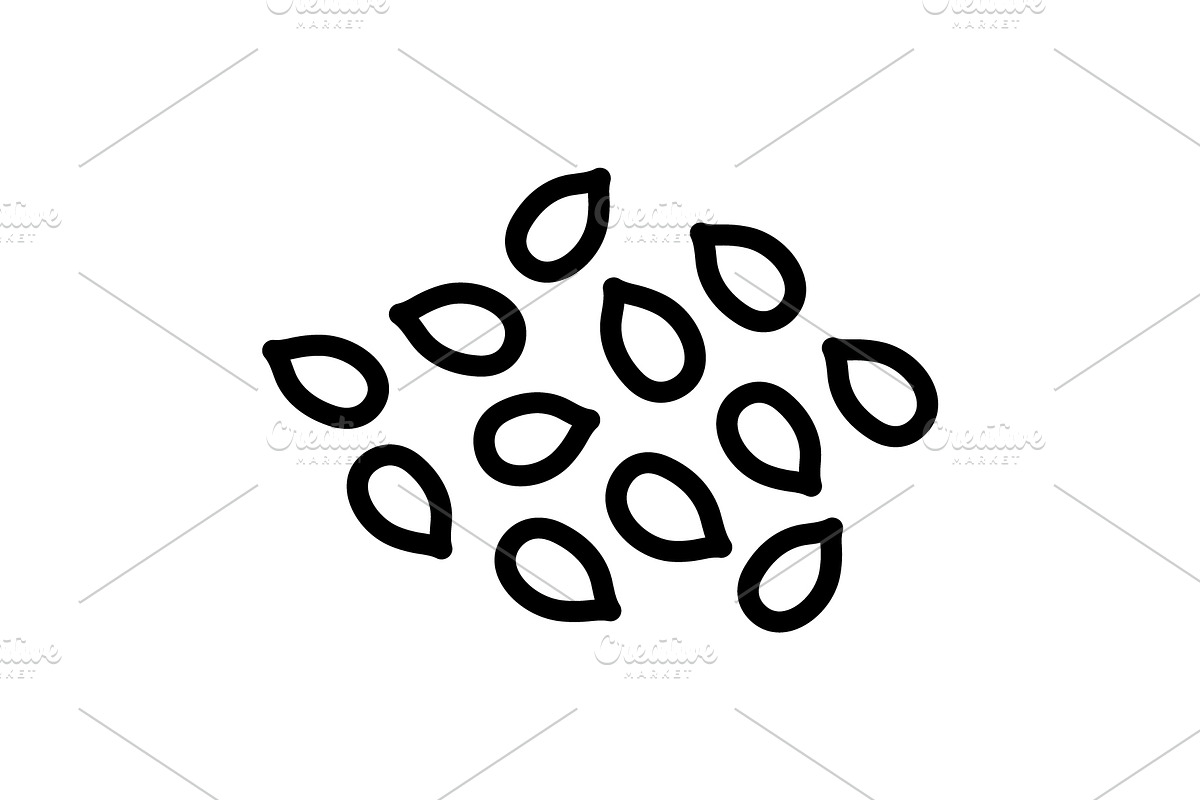 Sesame seed icon, an Icon by Creative priyanka | Creative Market