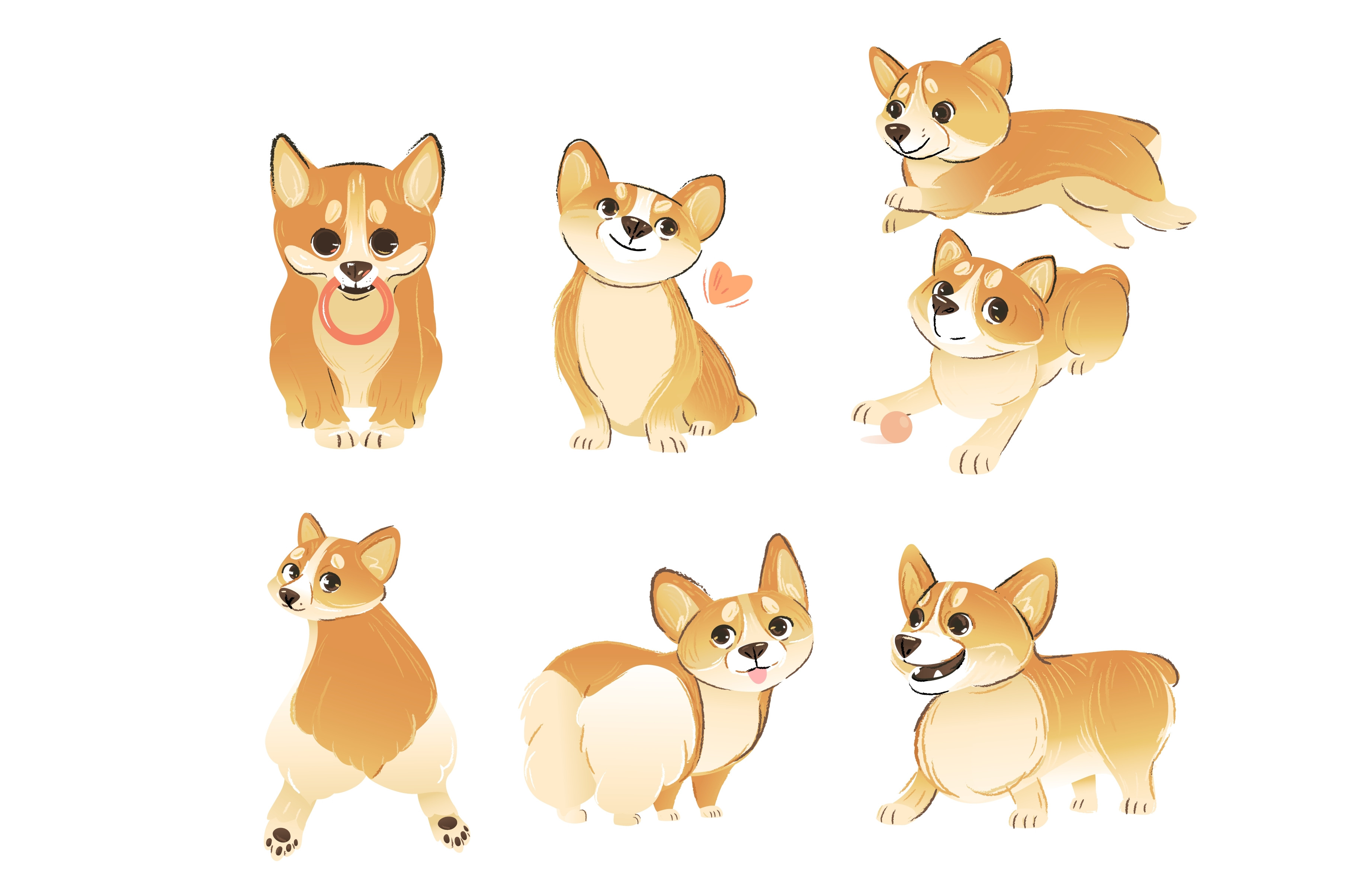 Set of Welsh Corgi dog standing and, an Animal Illustration by Sabelskaya
