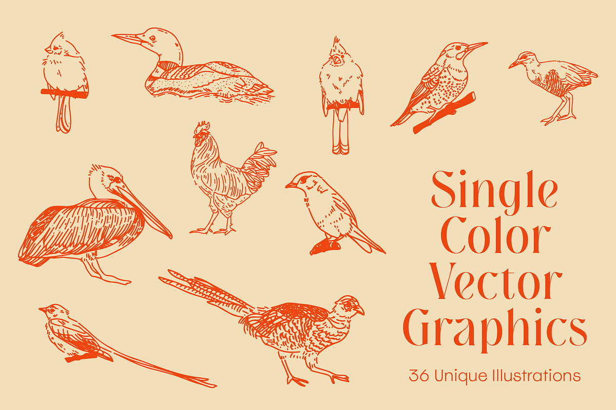 US State Birds Illustration Pack