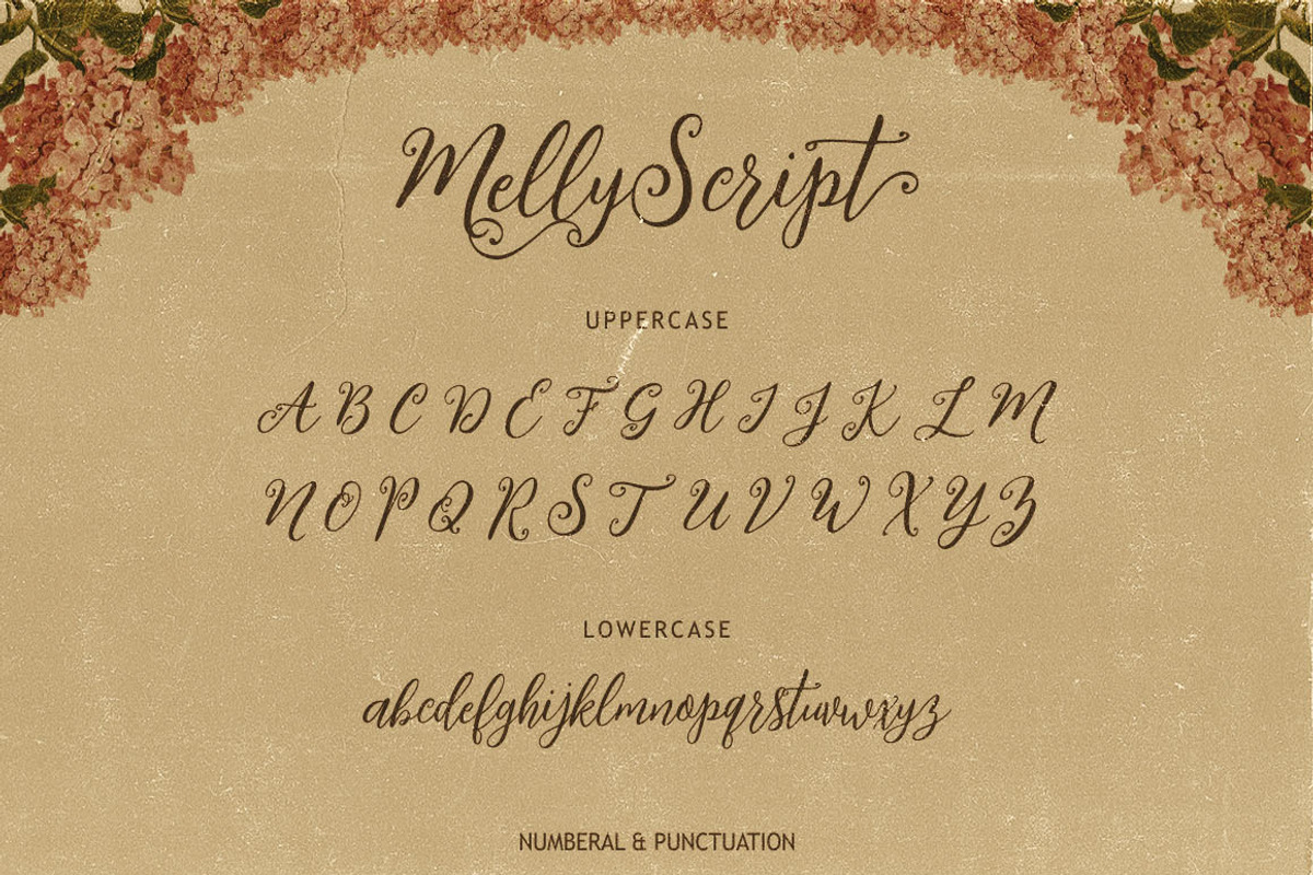 Melly Script Font Duo, a Script Font by Deeezy | Creative Market