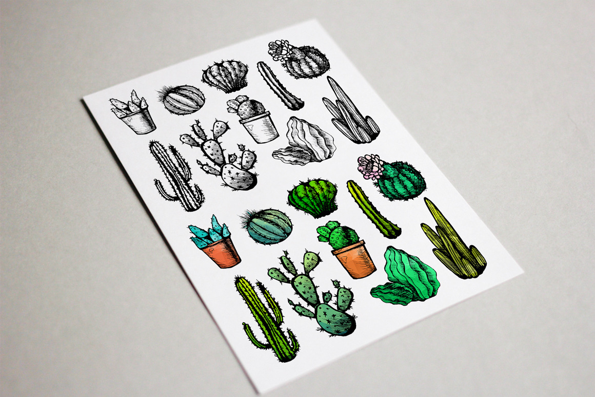 10 Hand Drawn Сactuses, an Object Graphic by barsrsind