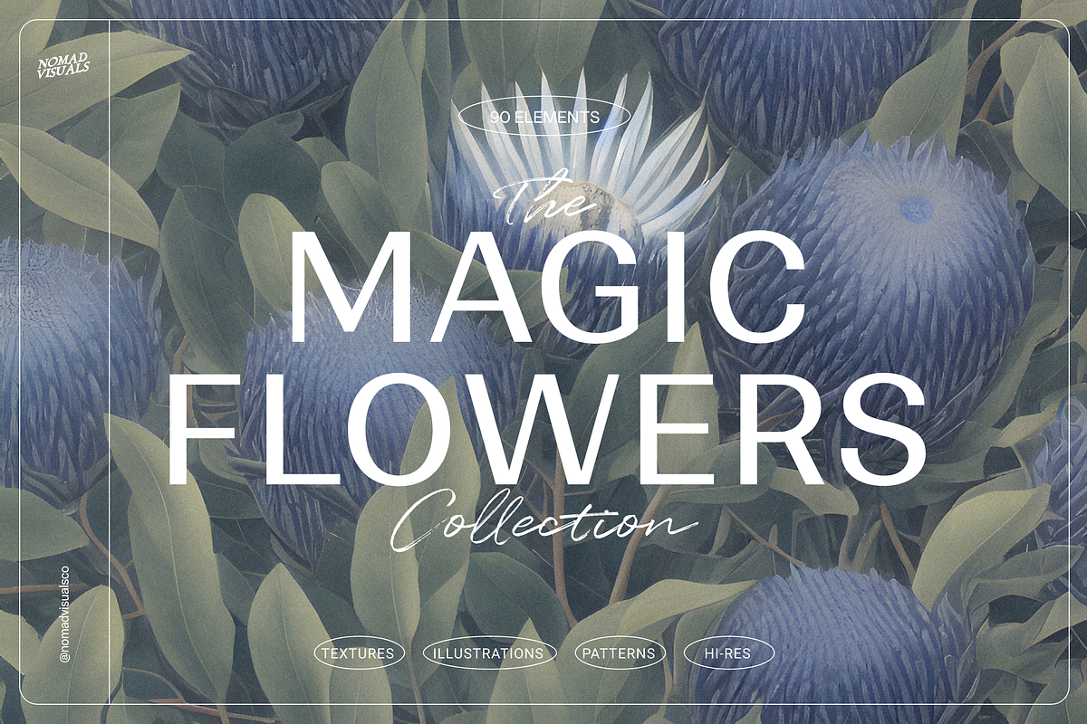 Magic Flowers, an Illustration by Nomad Visuals