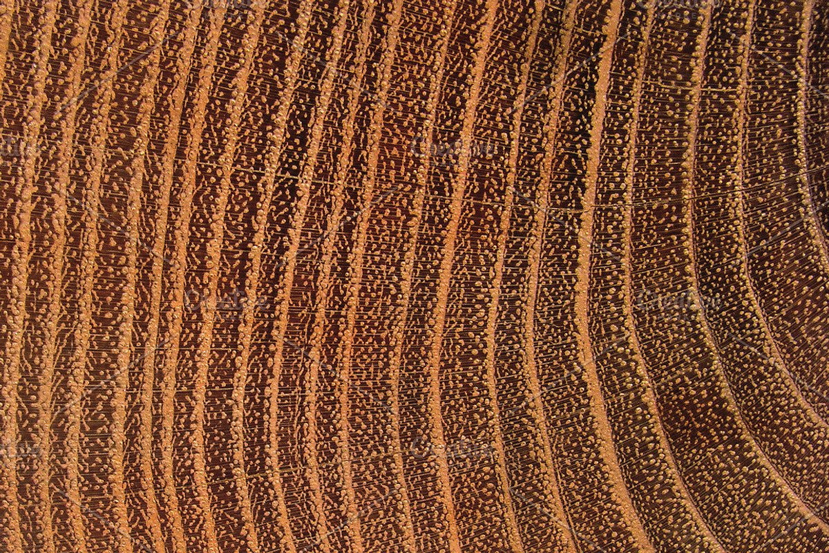 End Grain Textures, a Texture Graphic by Blue Line Design