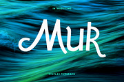 Mur Typeface, a Serif Font by Olga Begak Art & Design