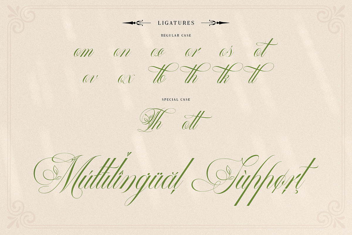 Mollani Nature Script, a Script Font by alit design