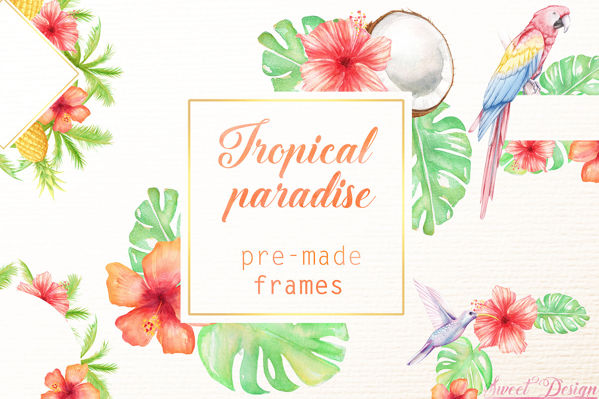 Tropical frames cliparts, an Illustration by Sweet sweet design