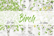 Birch Watercolor Clip Art, a Decorative Illustration by DioFlow ...