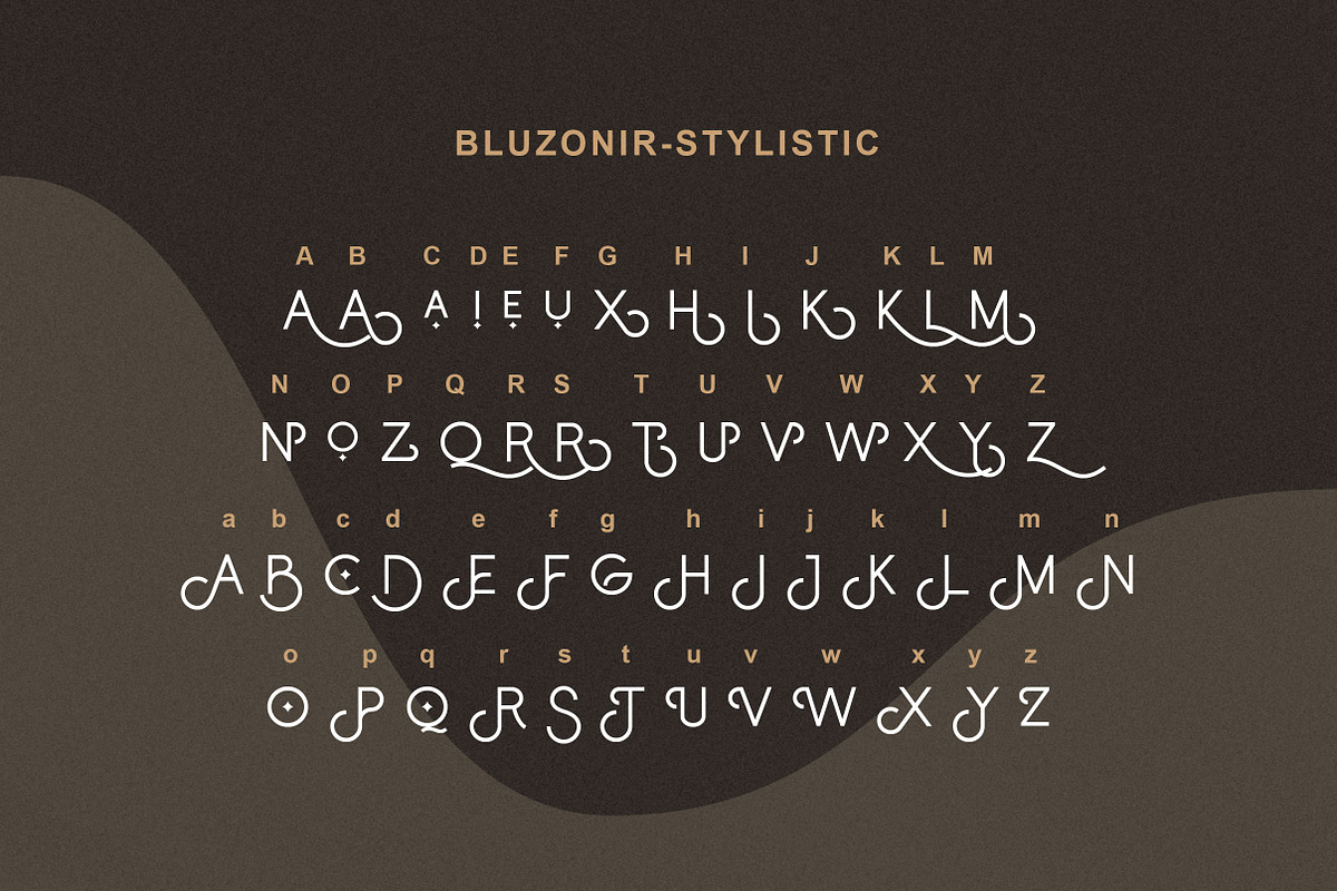 Bluzonir Stylish Sans Serif Font | Creative Market