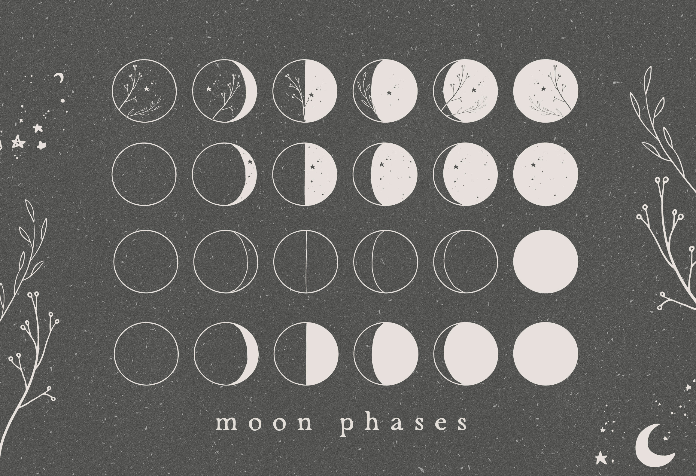 MOON PHASES / vector illustration, an Illustration by KruthDesign ...