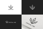 Crystal Logo Design, a Branding & Logo Template by Al-Ghaniy