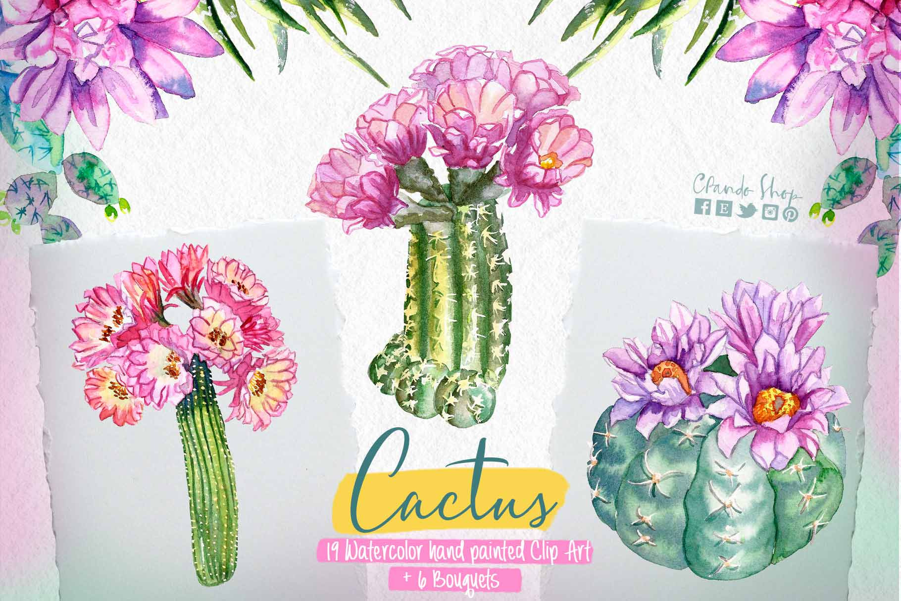 Cactus watercolor clip art, a Decorative Illustration by CpandoShop