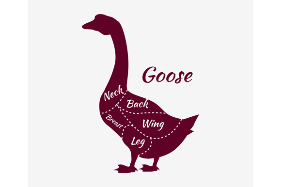 Goose Butcher Cuts Diagram, an Animal Illustration by robuart ...