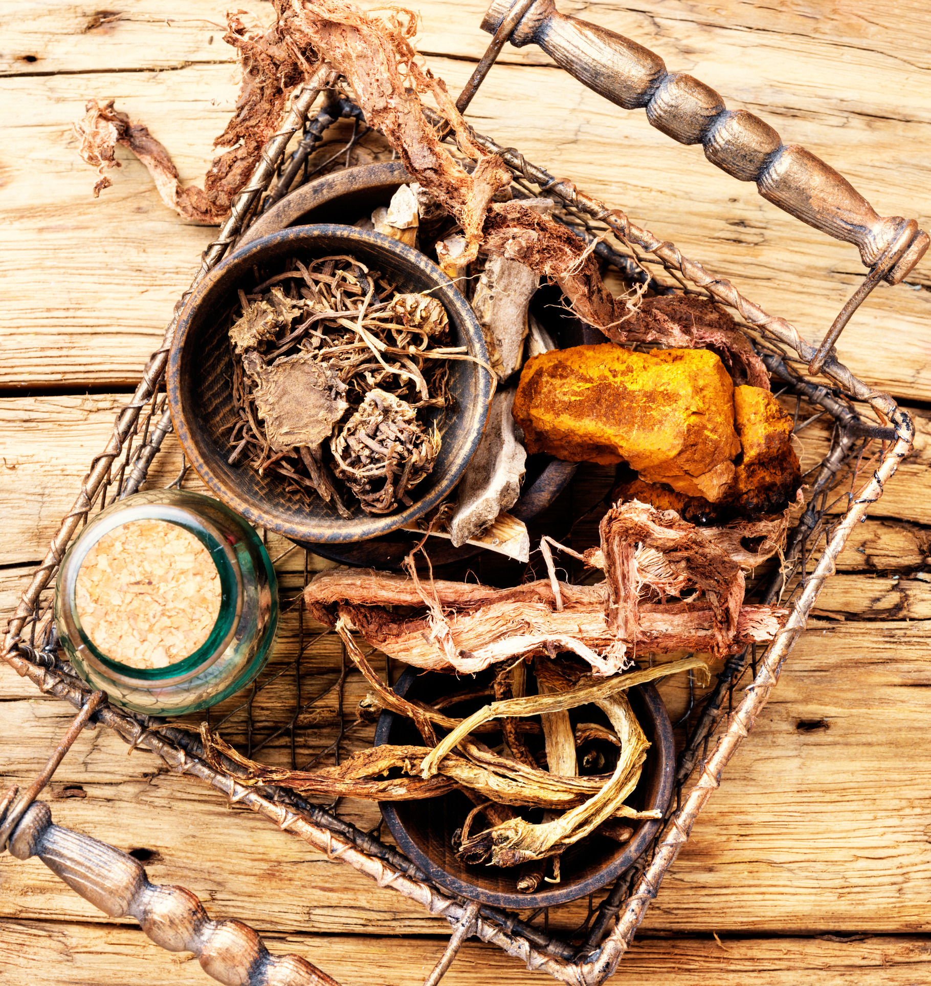 Set of roots of medicinal plants featuring root, acorus calamus, and ...
