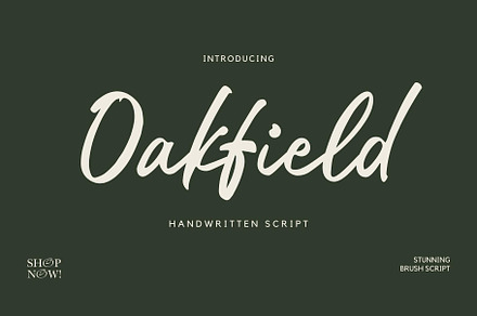 Clarkson Script | Script fonts ~ Creative Market