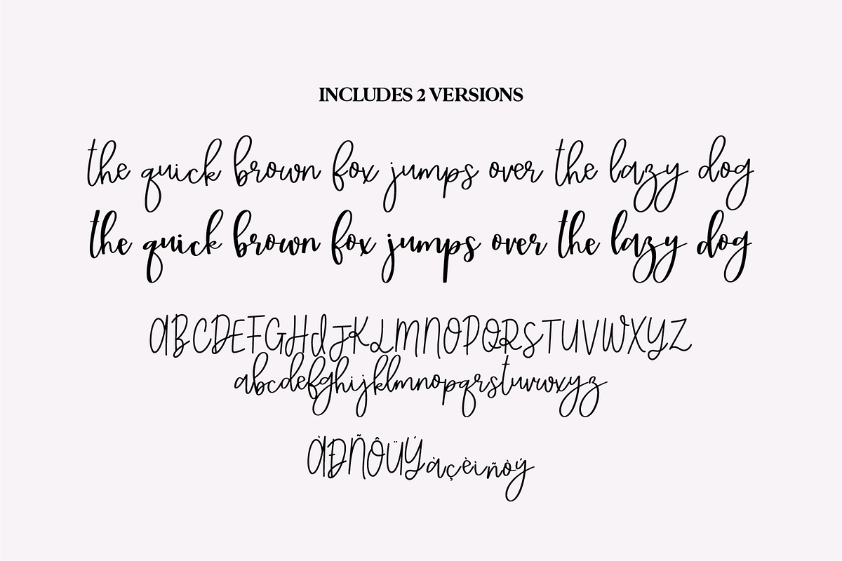 SKYLIGHT Elegant Brush Script Font, a Script Font by Blush Font Co.