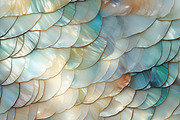 Mother Of Pearl Shell Texture